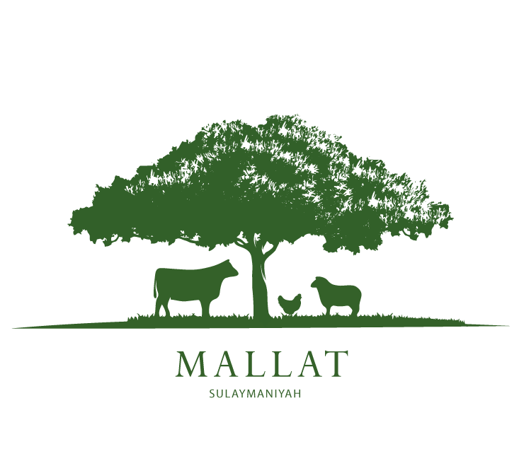 About – Mallat Co.